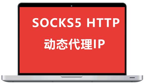 Pingpe：在线测试ip全球ping延迟、丢包率、mtr、端口连通性