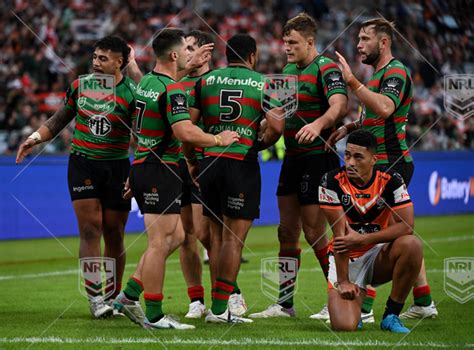 Nrl 2023 Rd11 South Sydney Rabbitohs V Wests Tigers Taane Milne Try
