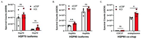 Kcl Stimulation Increases The Expression Of Hsp90a And The Co Chaperone