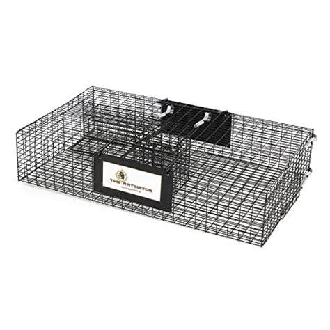 Best Multi Catch Rat Traps For Your Home