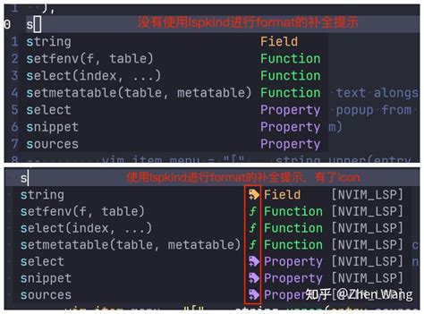 详解nvim内建LSP体系与基于nvim cmp的代码补全体系 知乎