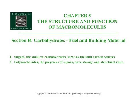Pdf Chapter 5 The Structure And Function Of Macromolecules Section B Carbohydrates