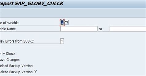 Martin Maruskin Blog Something About SAP Checking BWs BEx Variables