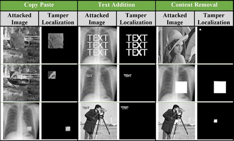 Tamper Detection And Localization Download Scientific Diagram
