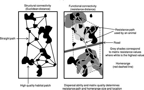 Figure 2 From Spatial Statistics Spatial Regression And Graph Theory In Ecology Semantic Scholar