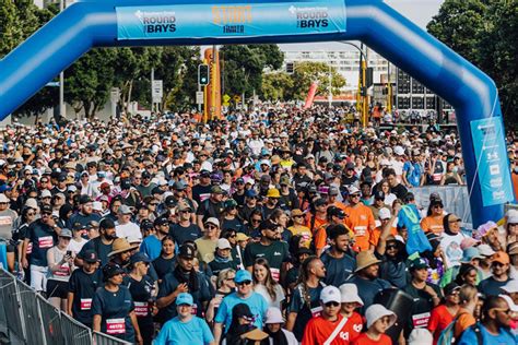Sunlive Patience Is The Key To Enjoying Race Day The Bays News First