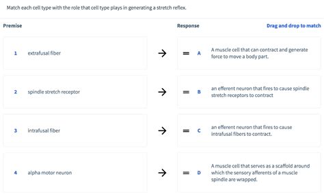 Solved Match Each Cell Type With The Role That Cell Type Chegg Com