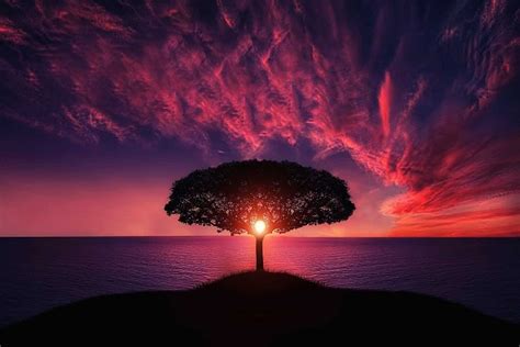 550 Captivating Sunset Captions For Instagram Mediabooster