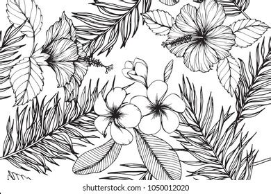Un Dibujo De Una Flor Hawaiana