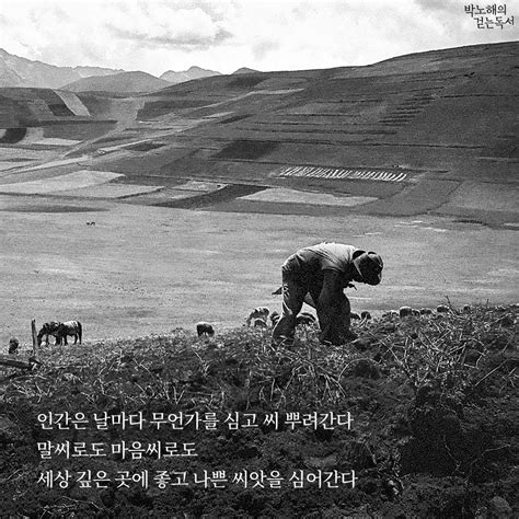 박노해의 걷는 독서 인간은 날마다