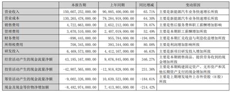 比亚迪上半年净利同比增20635，新能源汽车市占率247