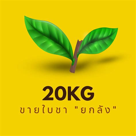 ขายส่งชาเขียว ชาแดง ชาไต้หวัน ชานมไข่มุก ราคาส่งยก 20กก เชียงใหม่ ชาม้าบิน