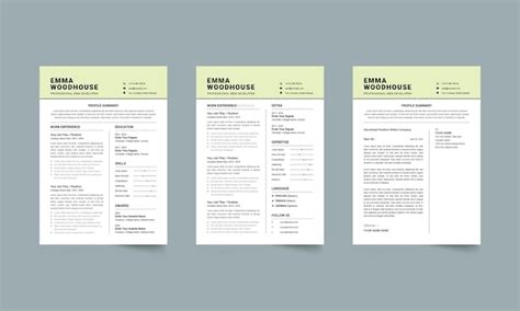 Professionelles Layout Für Lebenslauf Lebenslaufvorlagen Premium Psd