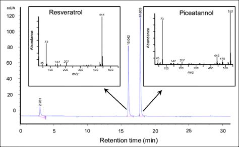 Hplc Chromatogram Of The Reaction Mixture And Gc Ms Spectra Of Download Scientific Diagram