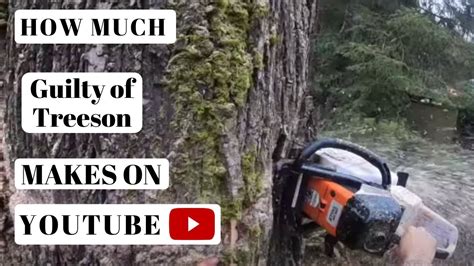 How Much Guilty Of Treeson Makes On Youtube Yt Money Business Model Youtube