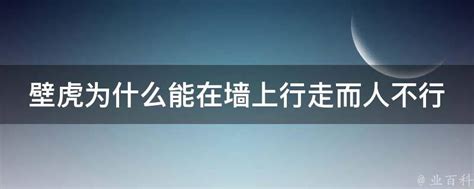 壁虎为什么能在墙上行走而人不行 业百科