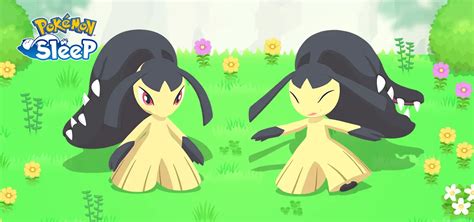 Mawile Llegará Muy Pronto A Pokémon Sleep Pokémon Alpha