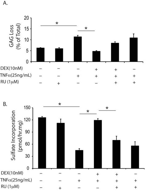 The Percentage Of Gag Loss In Six Days A And Proteoglycan