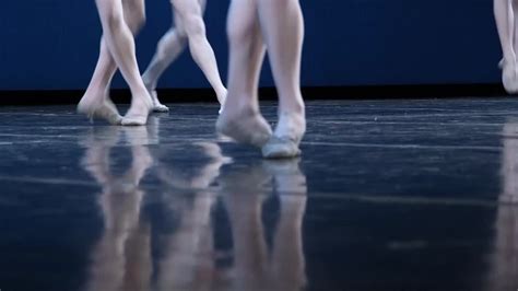 Premium Stock Video Details Of Male And Female Classical Ballet Dancers