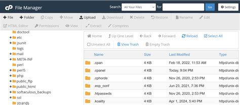 Cpanel File Manager Testingdocs