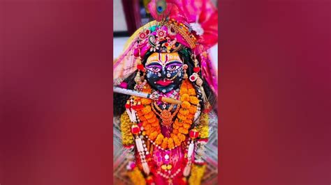 जब गिरते हुए मेने तेरा नाम लिया है ️🙏 Kishori Ju Ki Kripa 🥰🙏by