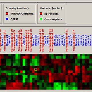 Heat Map Hierarchical Clustering Of Breast Milk Proteins Of