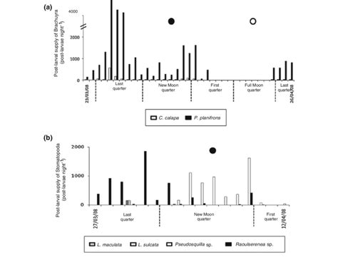 A Temporal Variation In Post Larval Abundance Per Night For Two Species Download Scientific