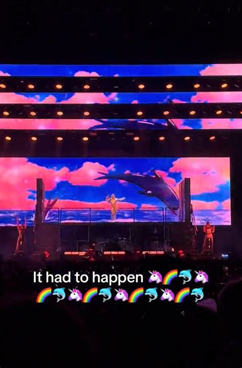 Symphony Dolphin Meme Origins Examples And Zara Larsson