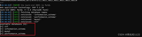 Cve Wp Csdn