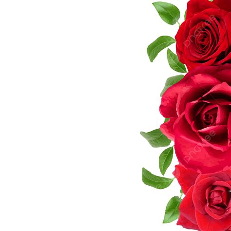 Red Flower Frame Vector Art Png Frame Set Of Flowers In Red Birthday Flowers Flower Backdrop