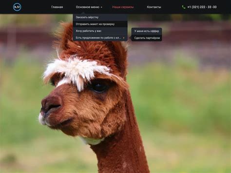 Convert Xd To Html Psd To Html Figma To Html Bootstrap 5 Responsive