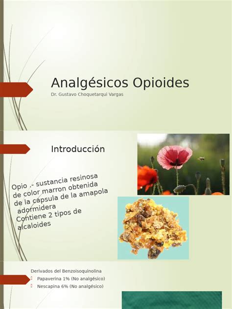 Analgesicos Opiodes Ultimo Pdf