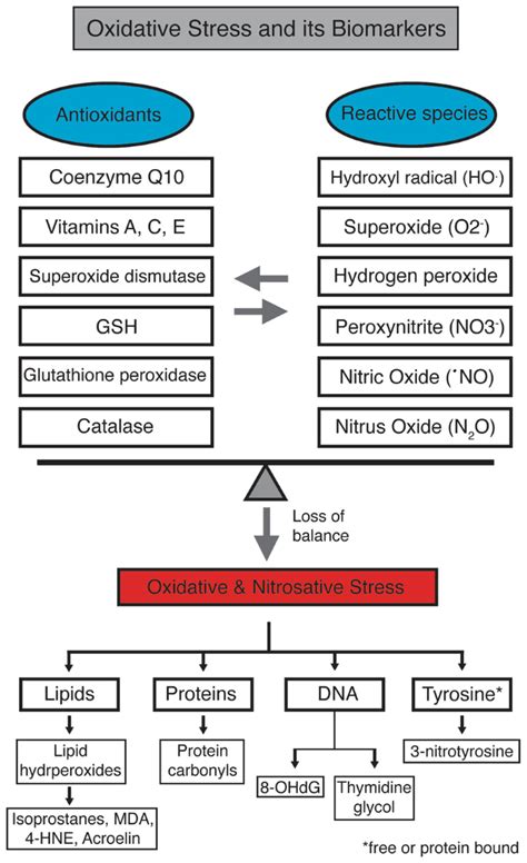 Measuring Biomarkers Of Oxidative Stress In Mecfs Patients Springer