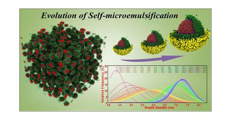 Atomistic Insights Into The Droplet Size Evolution During Self Microemulsification Langmuir