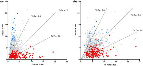 Transition And Transversion Rates For Substitutions From T A And C Download Scientific