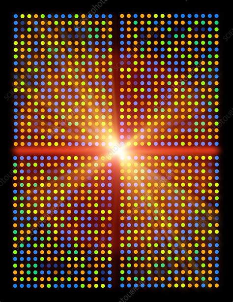 Dna Microarray Stock Image C021 0970 Science Photo Library