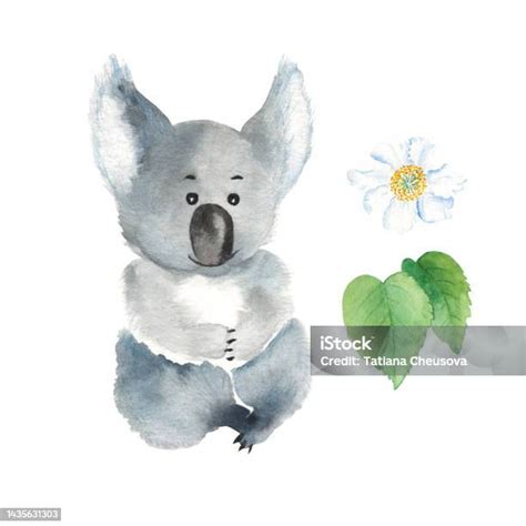 귀여운 아기 코알라와 키위 꽃은 흰색 배경에 고립되어 있습니다 수채화 손으로 그린 그림 어린이 카드 베이비 샤워 및 포스터 옷 프린트 및 벽지 디자인에 적합합니다 0명에