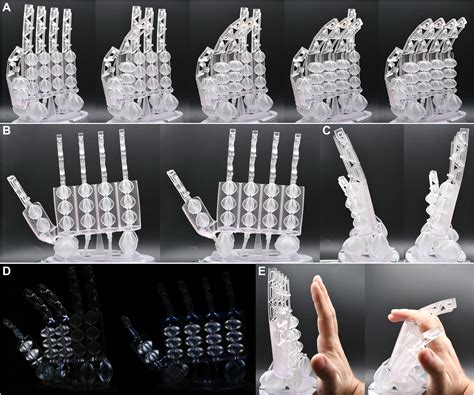 3d Printed Biomimetic Artificial Muscles Using Soft Actuators That Contract And Elongate
