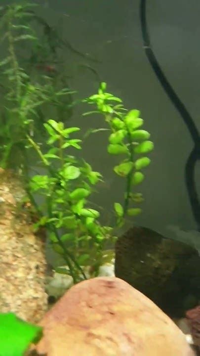 1 Week Update Youtube