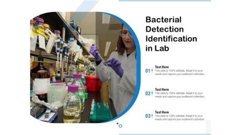 Identification Detection Powerpoint Templates Slides And Graphics