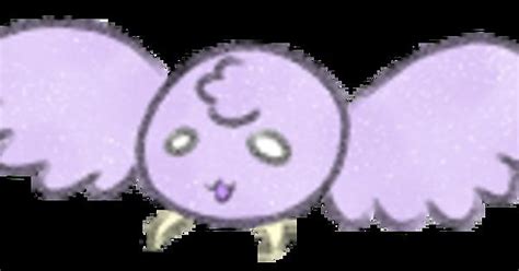 Floofer Smaller Version Album On Imgur