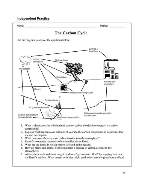 A Step By Step Guide To Understanding Carbon Cycle Worksheet Answers