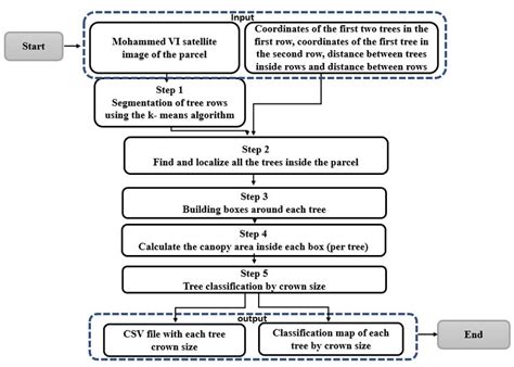 Flowchart Of The Methodology Download Scientific Diagram