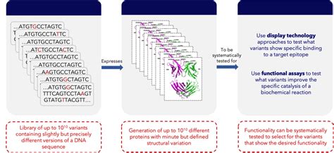 Twist Biosciences Variant Libraries
