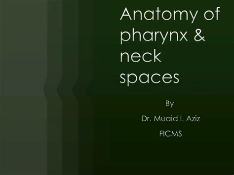 Tehmina Arshad On Linkedin Entanatomy Of Pharynx And Neck Spacesdr