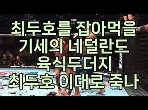 UFC 최두호 vs 네덜란드 육식 두더지 제494회 슈퍼매치 YouTube
