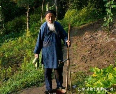 陆地神仙张至顺靠4招活到103岁其中自创长寿功影响最大 知乎