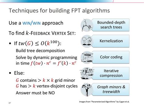Introduction To Parameterized Algorithmics Ppt Download