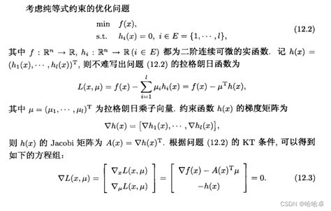 牛顿 拉格朗日法lagrange函数的hesse近似矩阵 Csdn博客
