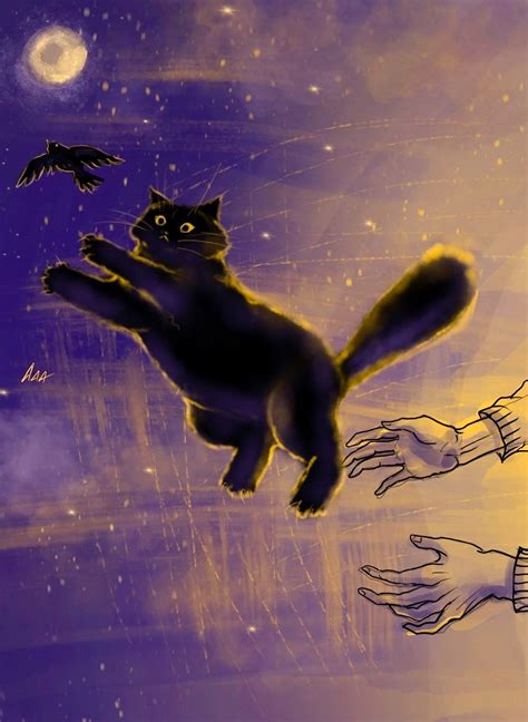Bounce By Nekoterroraaa On Deviantart